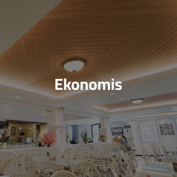 DUMA® Premium Wall & Ceiling Panel – Duma