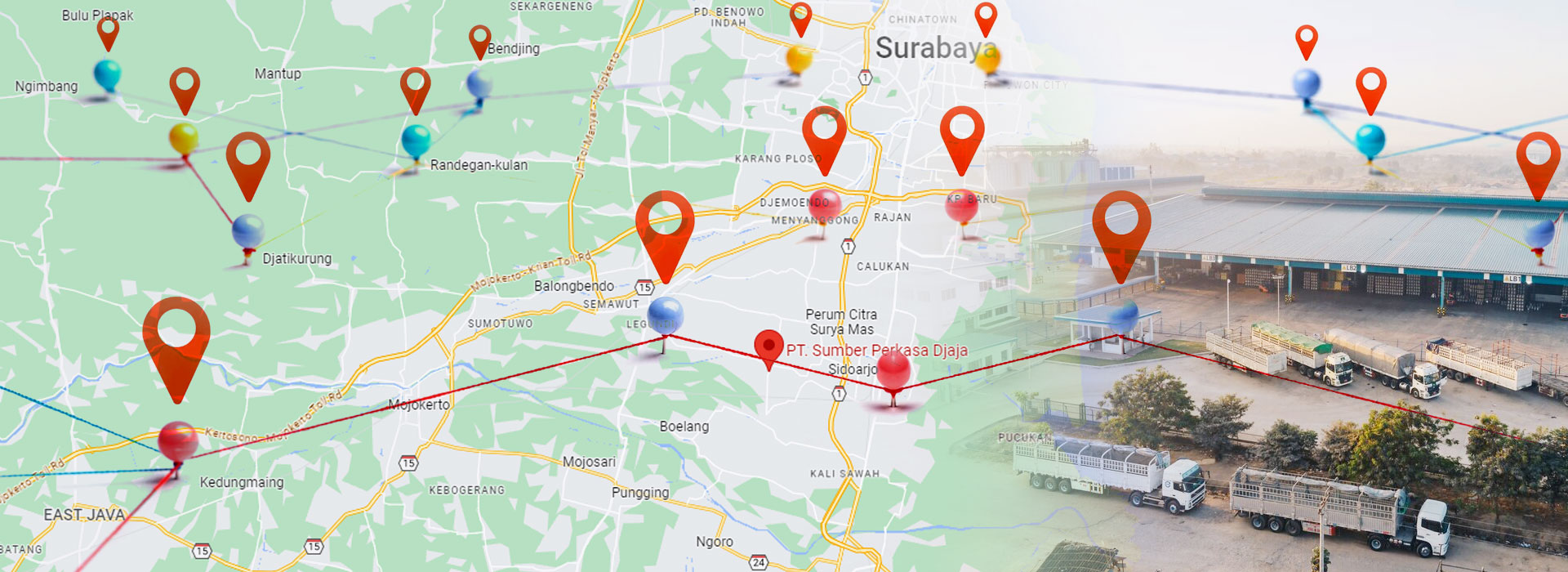 Distributor List – Duma